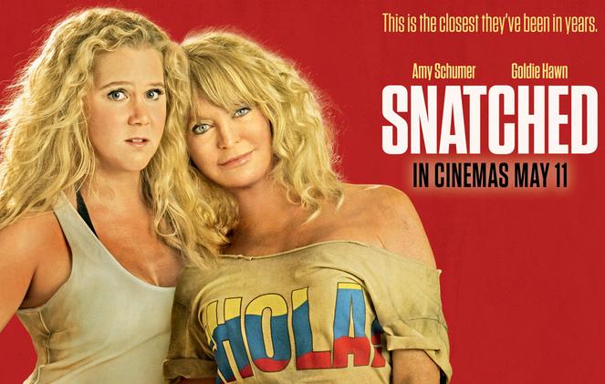 Review: Snatched (2017) – Is It As Enticing As Guy Richie’s Snatch ...